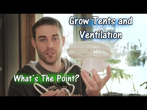 How to Ventilate Your Grow Room? Easy Techniques to Learn
