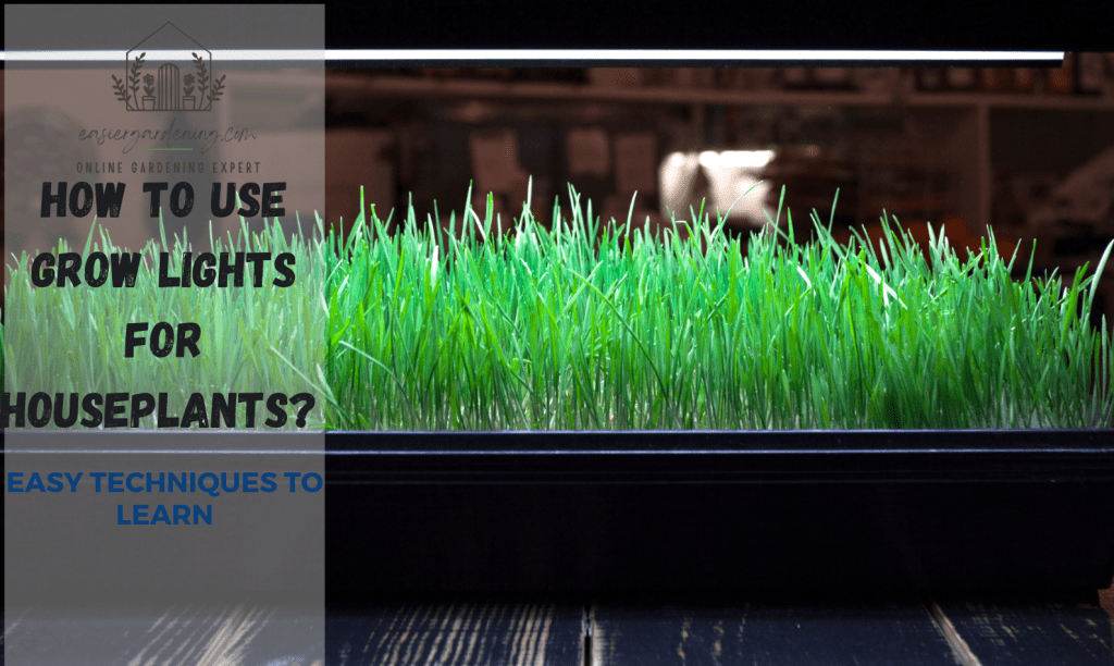 How To Use Grow Lights For Houseplants? Easy Techniques