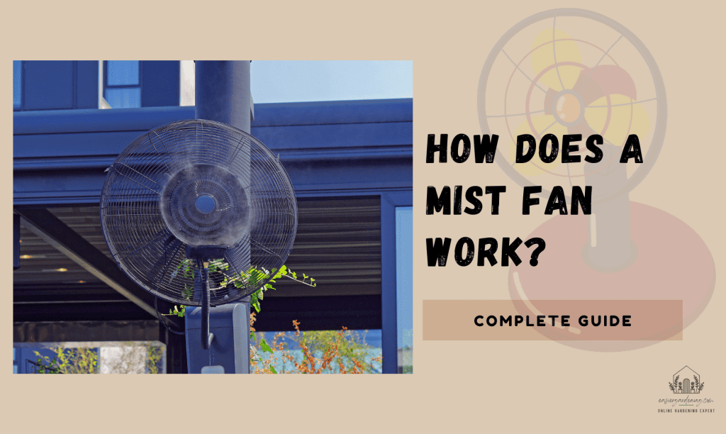 How Does A Mist Fan Work? Benefits of an Outdoor Mist Fan
