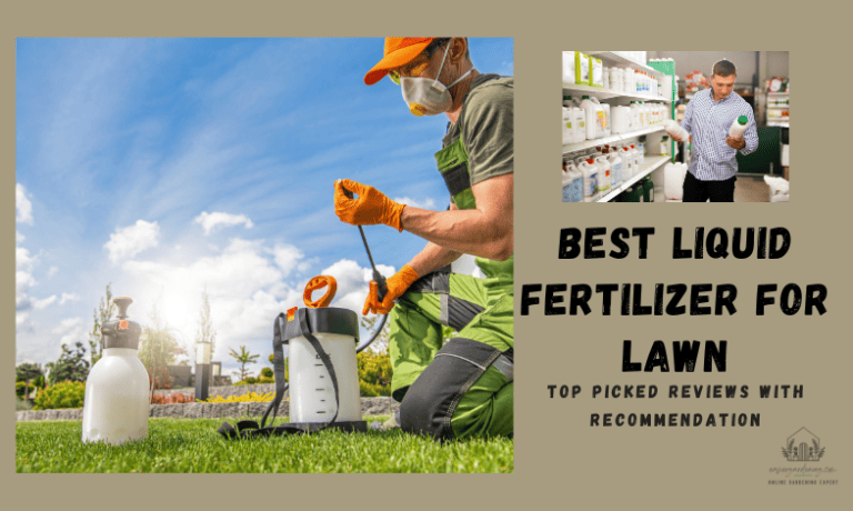 Best Liquid Fertilizer For Lawn 2023: Top Picks Reviewed