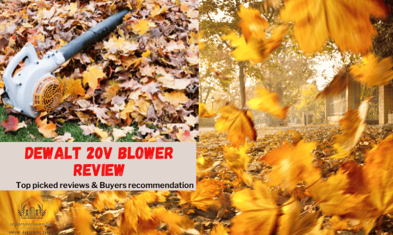 DeWalt 20v Blower Review: Buyer's Guide with Specifications