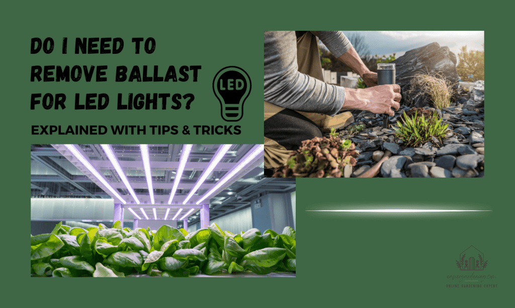 Do I Need to Remove Ballast For Led Lights? Explained