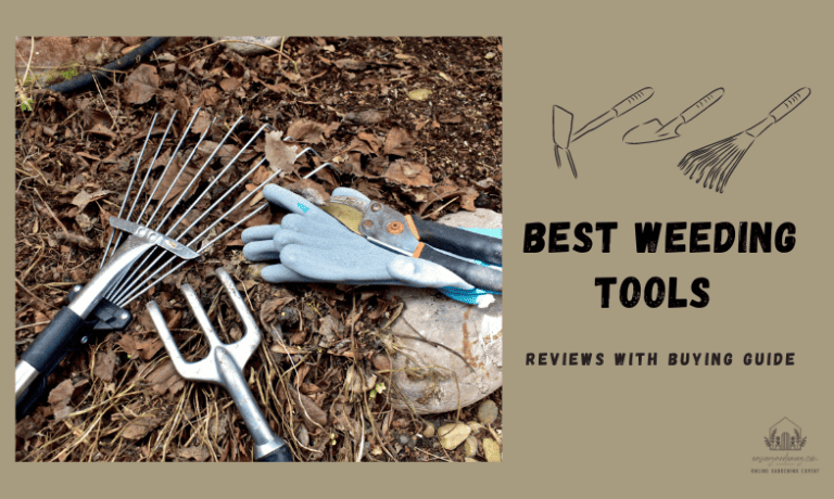 Best Weeding Tools 2024: Reviews with Buying Guide